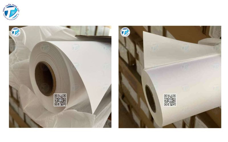 Giấy Decal PP giá bao nhiêu? Cập Nhật Bảng Giá Mới Nhất Của Giấy Decal PP