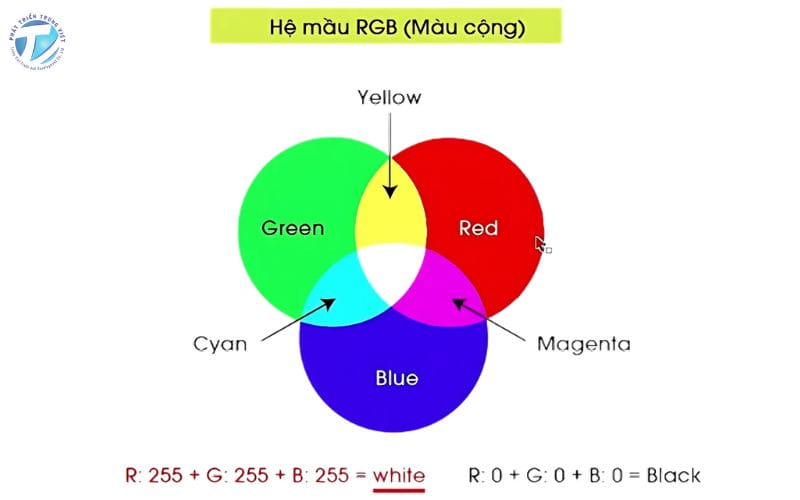 RGB là gì? Giải thích hệ màu RGB, LED RGB và ứng dụng thực tế