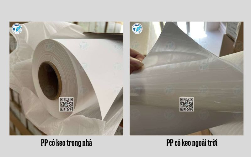 Giấy PP Có Keo Là Gì? Ưu Điểm, Ứng Dụng & Giá In PP Có Keo Trong Nhà ...